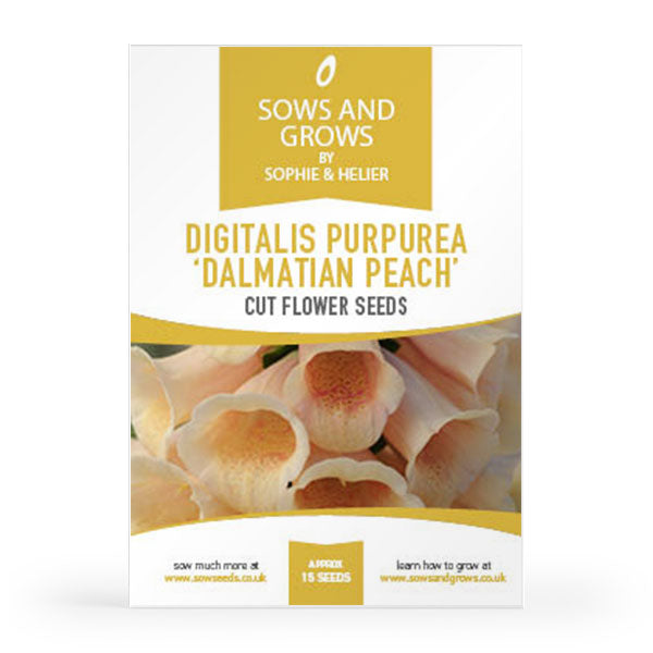 'The Biennials' Cut Flower Collection Box | Quality Seeds from Sow ...