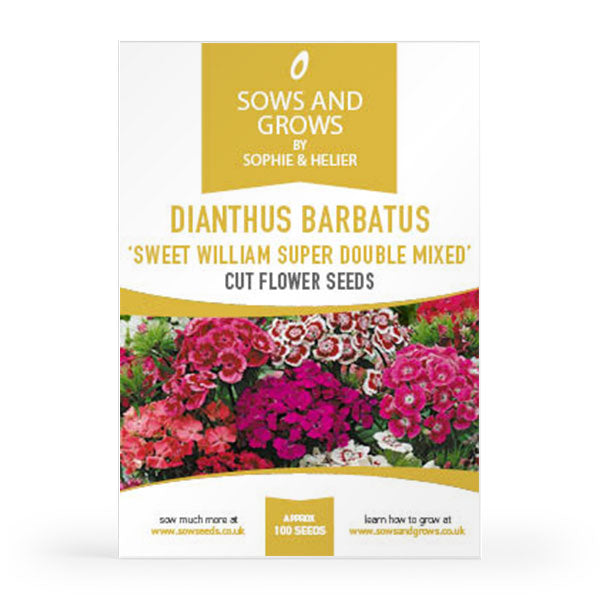 'The Biennials' Cut Flower Collection Box | Quality Seeds from Sow ...