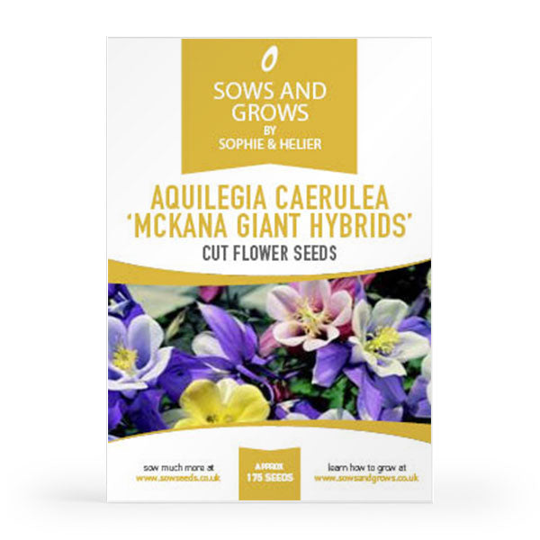 'The Biennials' Cut Flower Collection Box | Quality Seeds from Sow ...