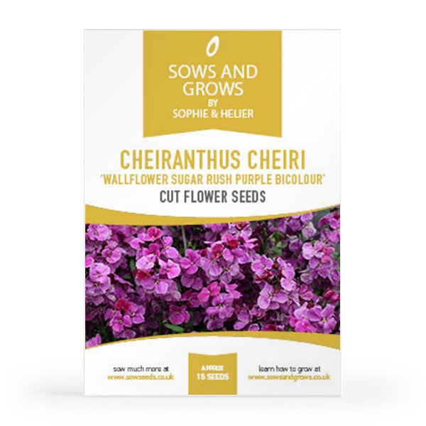 'The Biennials' Cut Flower Collection Box | Quality Seeds from Sow ...