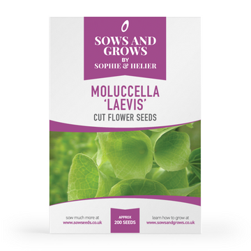 Seed Sale | Seeds Available For Under £1 | Sow Seeds