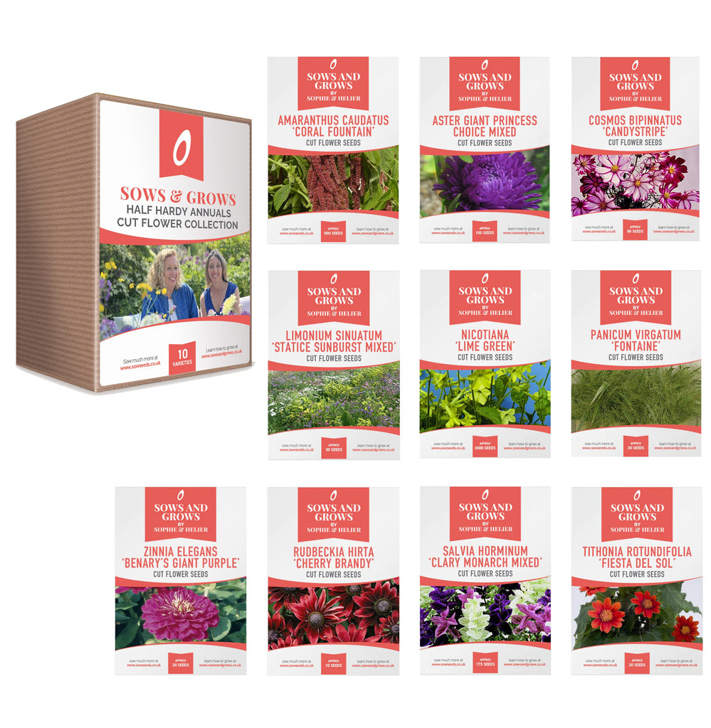 Cut Flower Gift Bundle | Quality Seeds from Sow Seeds Ltd