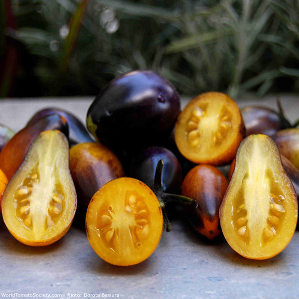 Tomato Indigo Pear Drops Seeds | Quality Seeds from Sow Seeds Ltd