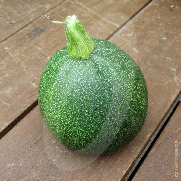 Courgette Eight Ball F1 Seeds | Quality Seeds from Sow Seeds Ltd