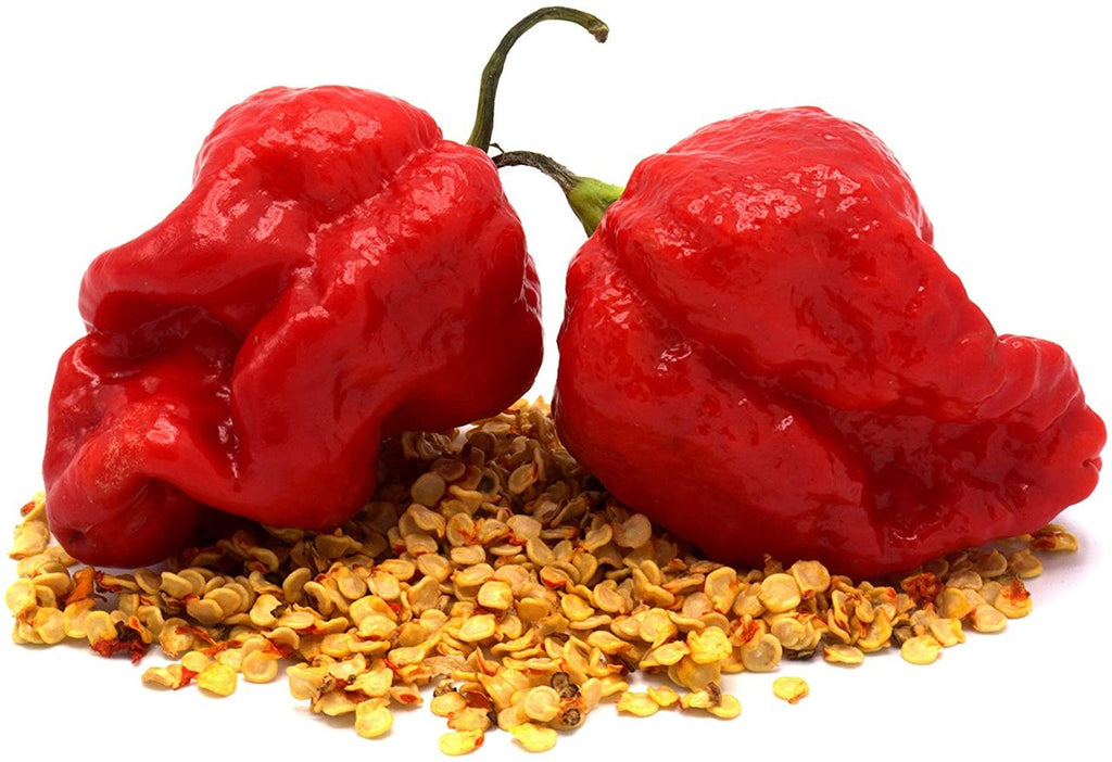 Chilli Pepper Armageddon F1 Seeds | Quality Seeds from Sow Seeds Ltd