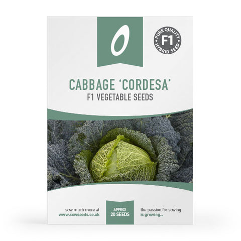 Buy Cabbage Seeds | Grow Your Own Vegetables | Sow Seeds