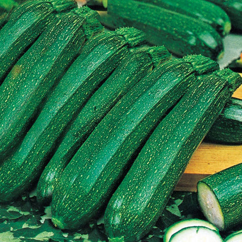Buy Courgette Seeds | Grow Your Own Veg | Sow Seeds