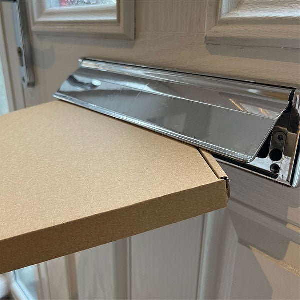 Essential Veg Seed Collection | Quality Seeds from Sow Seeds Ltd