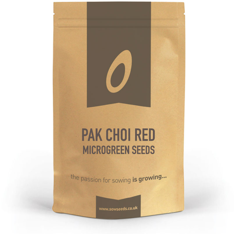 Pak Choi Red Microgreens Seeds | Quality Seeds from Sow Seeds Ltd