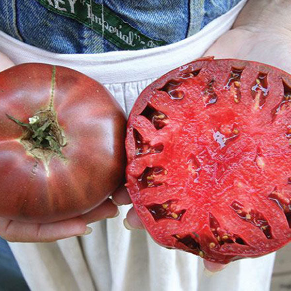 Tomato Cherokee Purple Seeds | Quality Seeds from Sow Seeds Ltd