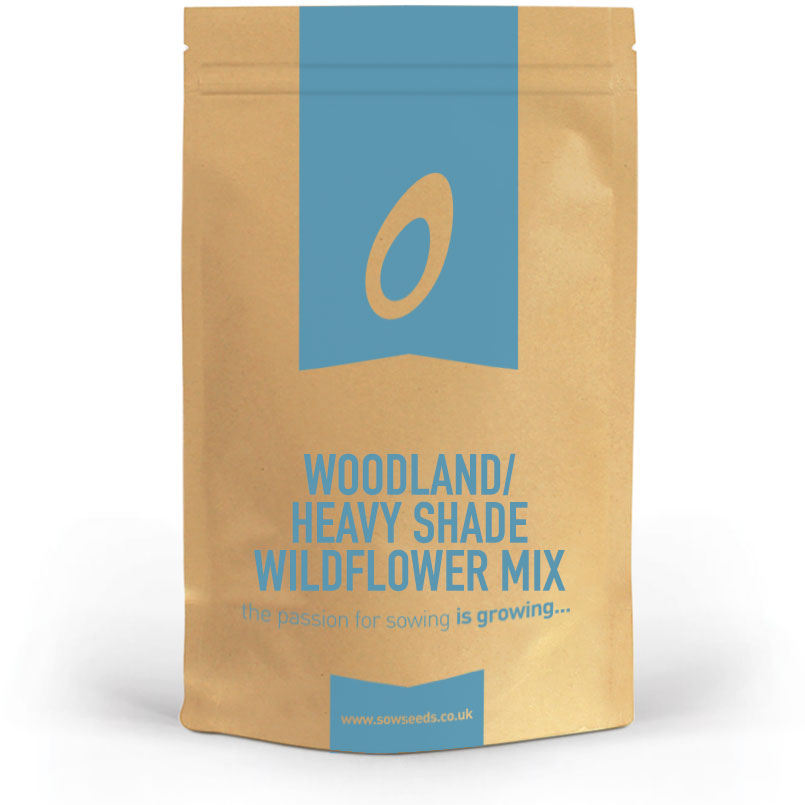 Woodland/Heavy Shade Wildflower Meadow Seed Mix | Quality Seeds from ...